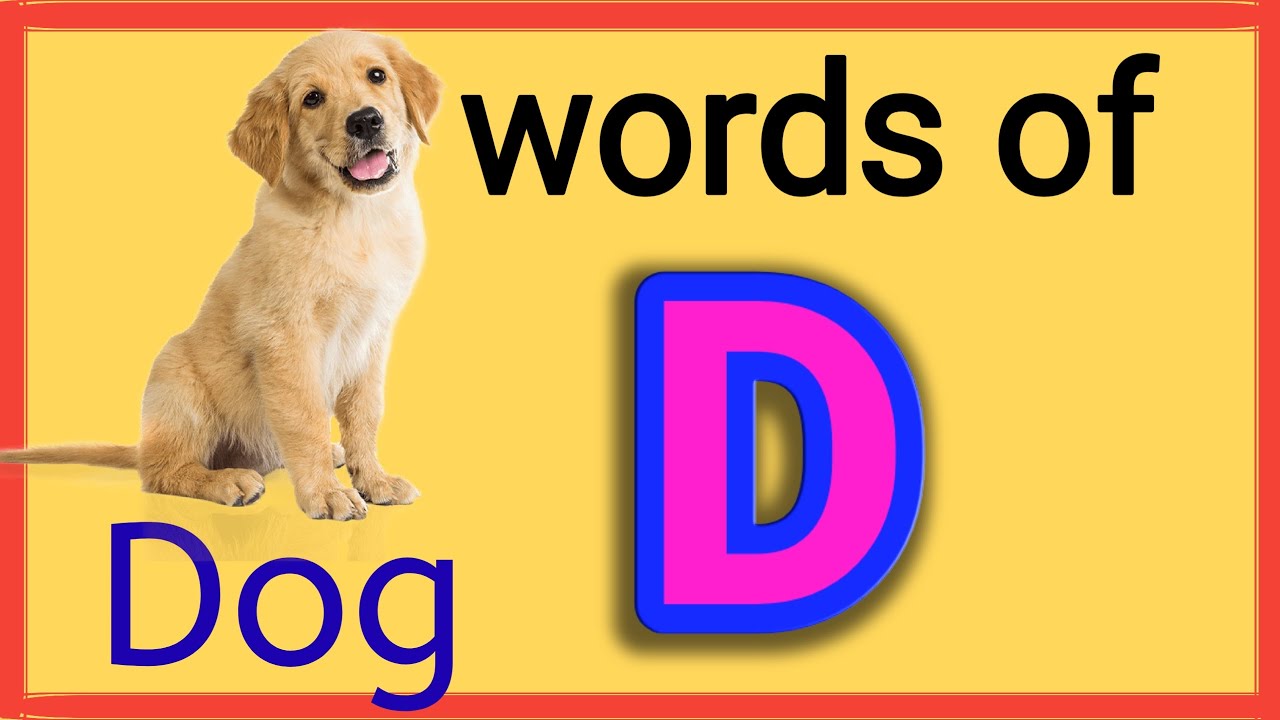 D पासून सुरू होणारे शब्द | D चे शब्द | words of d | d che shabd | d ...