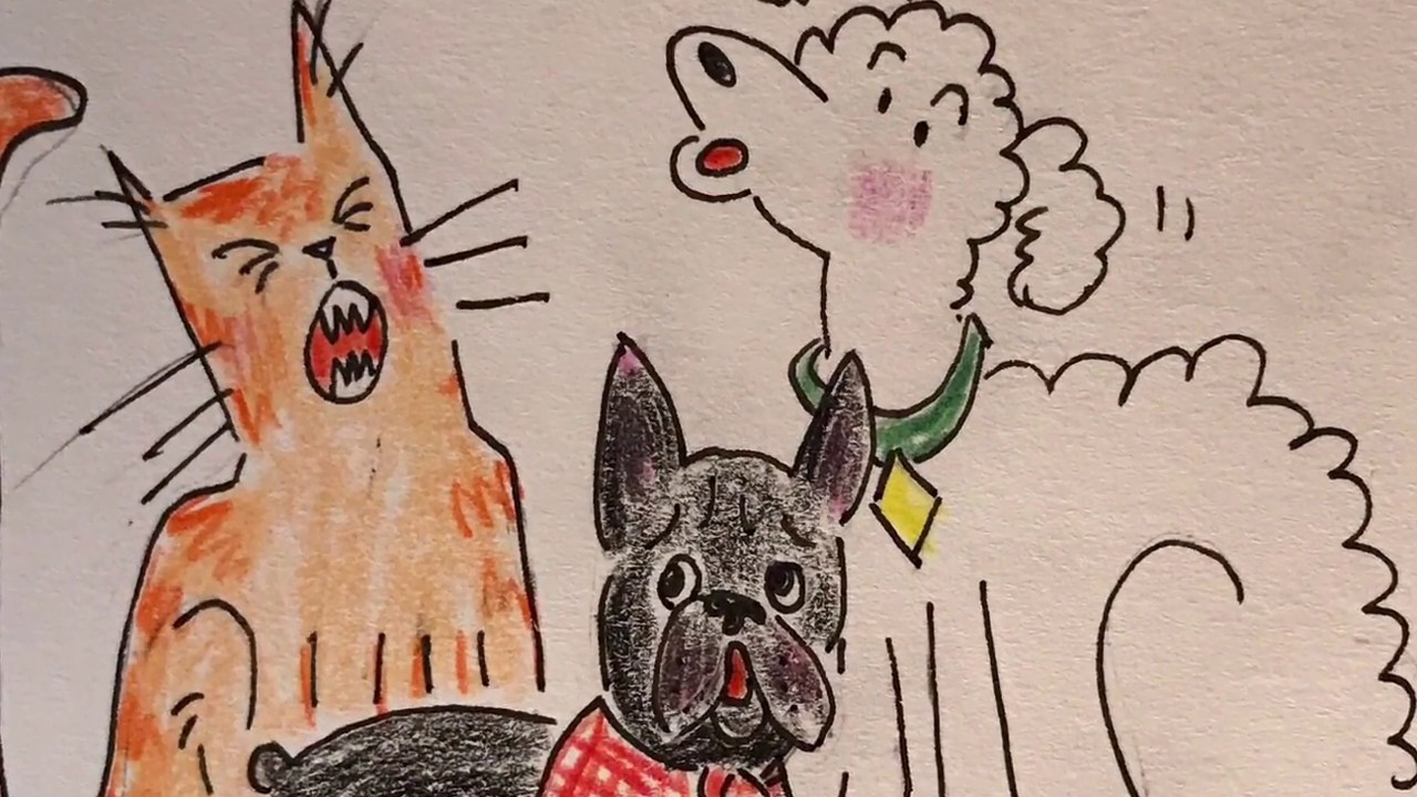 All God's Critters Got a Place in the Choir - YouTube