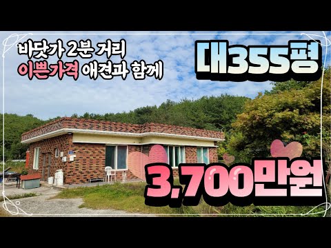 "바닷가 전원주택 355평 3천만원대로 준비 아님 더 내려가는 시골집" #Hoyatag