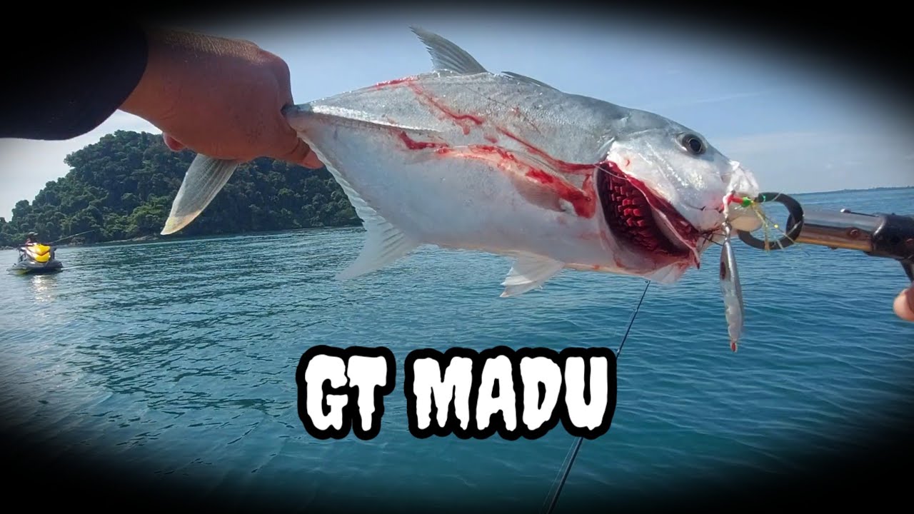 1st Trip Jigging pakai ib rivix #modelxe330 #pulausatang # ...