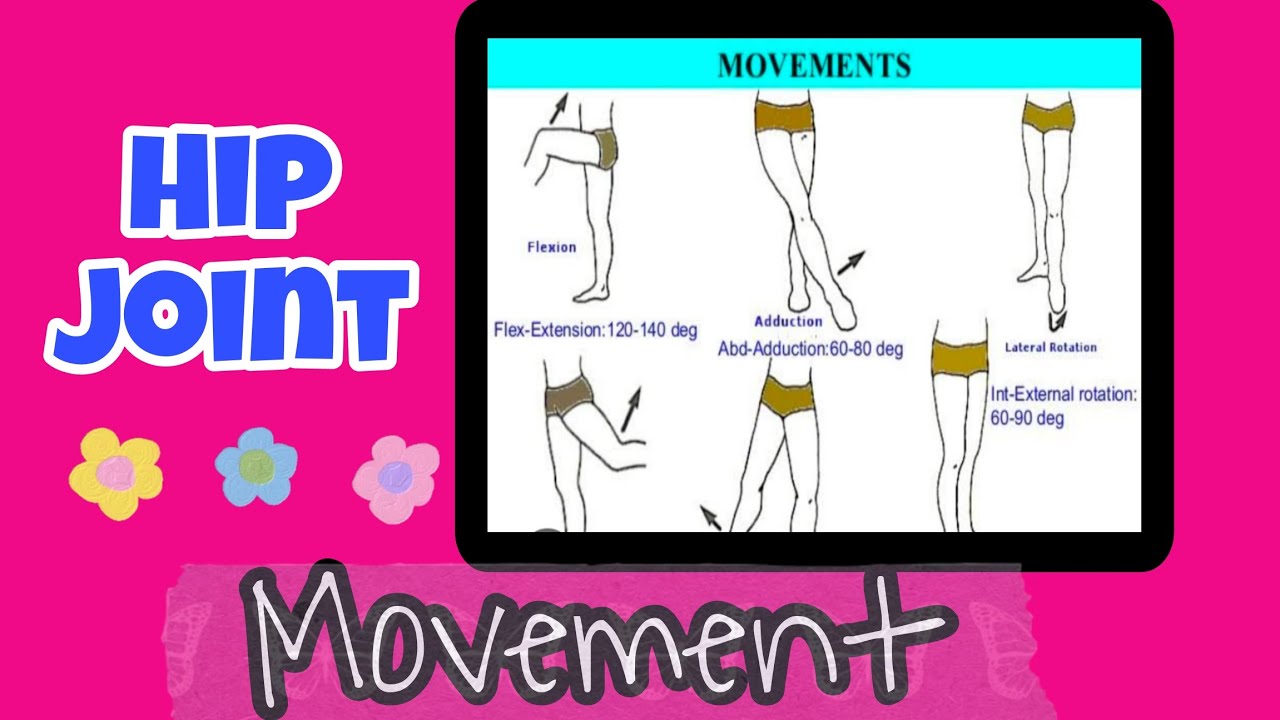 Movements of Hip Joint. #hipjoint #movement #hipanatomy - YouTube