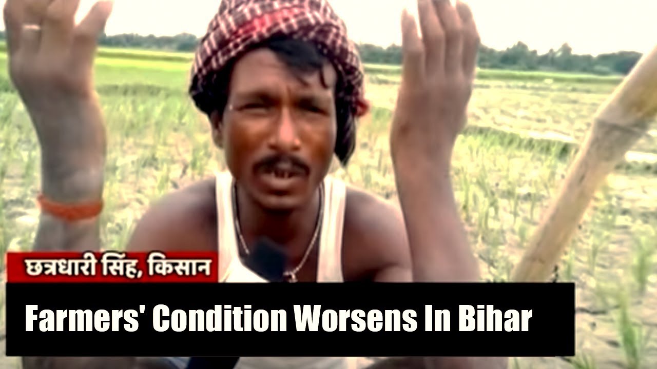 Bihar Faces Severe Drought Like Situation, Farmers' Condition Worsens ...