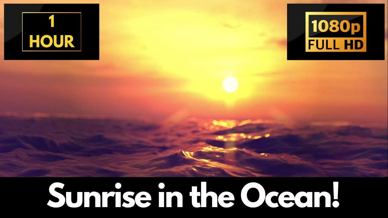Bright Ocean Sunset – 1 HOUR LOOP Satisfying Background Video ...