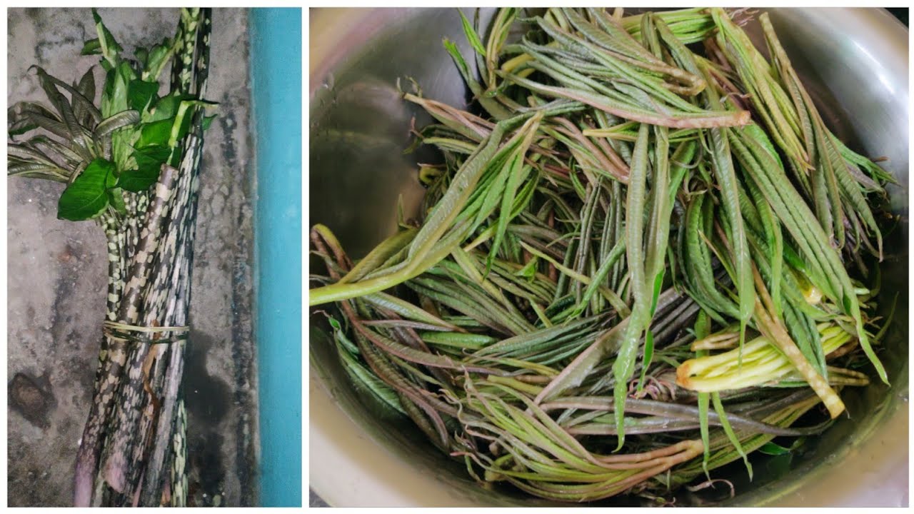 কচু শাক / Kosu Xaak recipe/ Assamese kochu recipe/ Ol Kosu recipe - YouTube