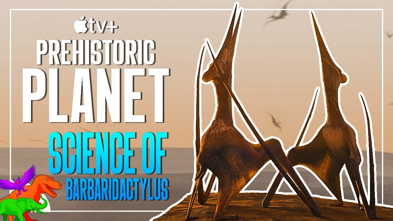 What Kind Of Courtship Did Pterosaurs Have? | Barbaridactylus ...