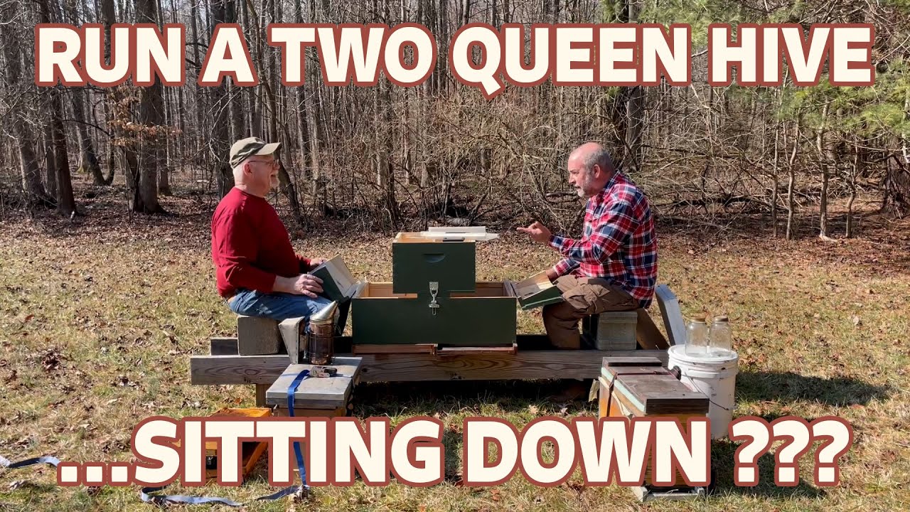 Starting New Colonies In Our Two Queen Hive! - YouTube