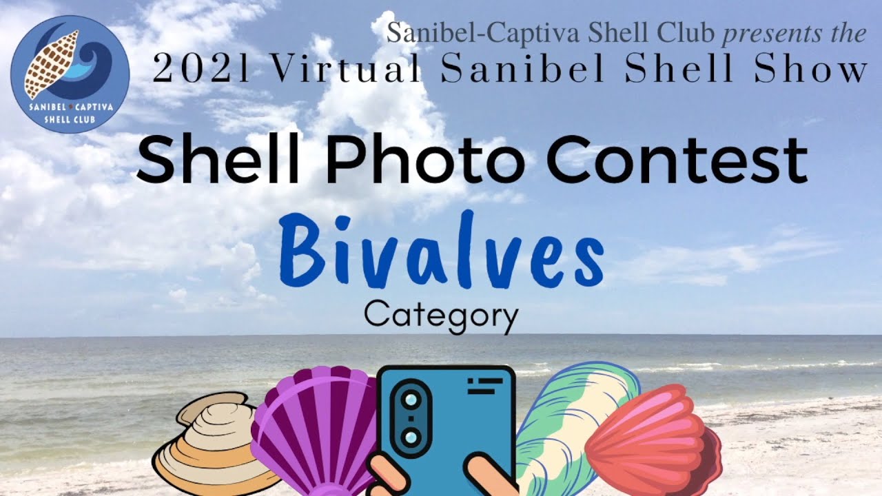 Shell Photo Contest - Bivalves Category - YouTube