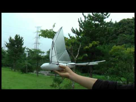 Swift F7 : Test Flight 4 in the wind 4-6.7m/sec. - YouTube