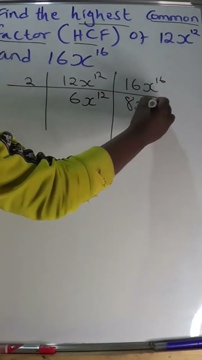 Mastering HCF: How to Find the Highest Common Factor of 16X^16 and 12X ...