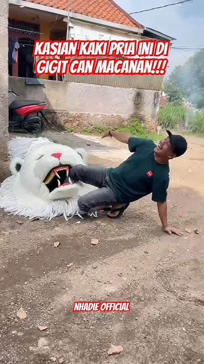 Kasian Sekali Kaki Aa Topi Hitam Di Gigit Can macanan!!! - YouTube