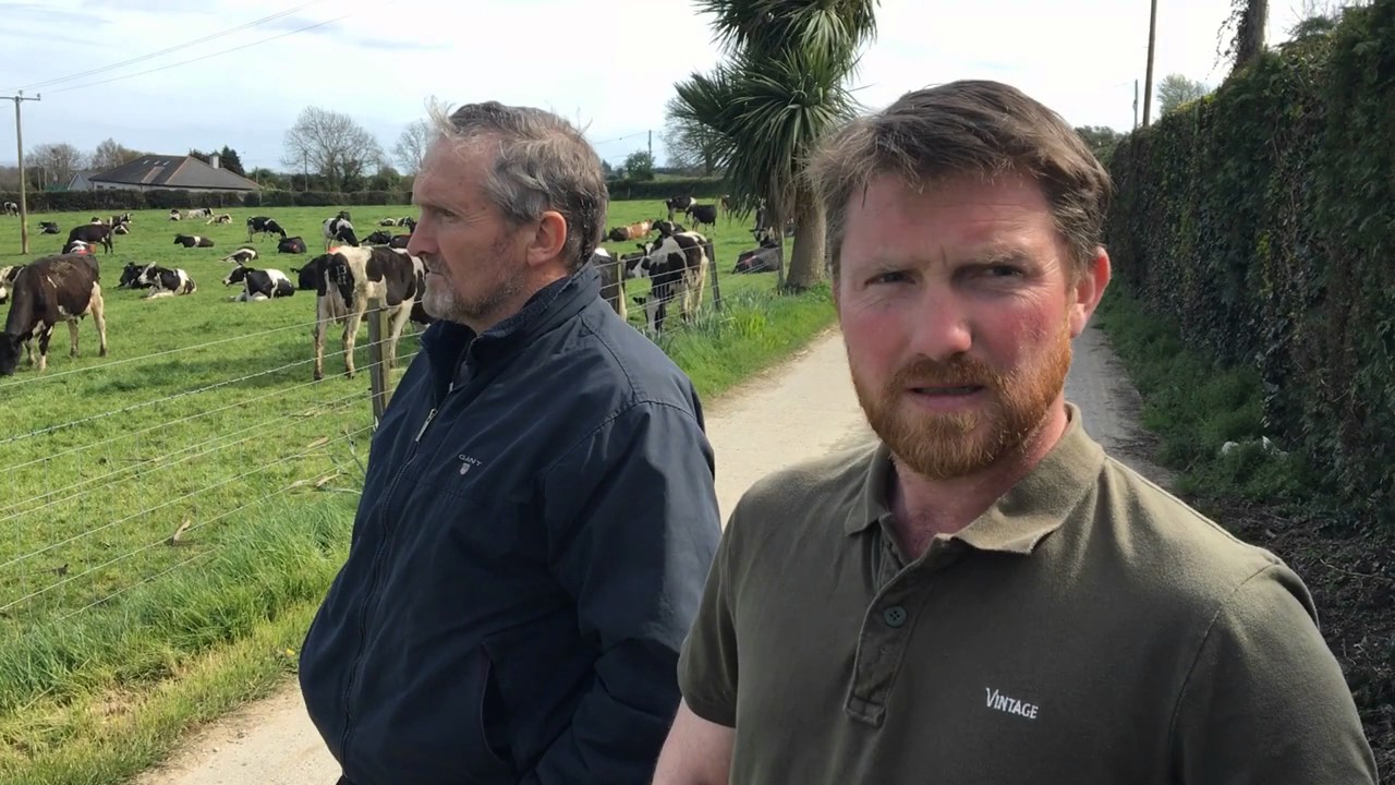 GII Monitor Farmers Darren and Eamonn Healy provide an update from ...