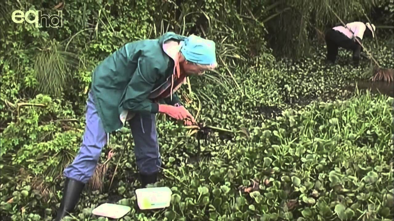 The Murder of Joan Root, and the Cause That Killed Her DownTube pl ...