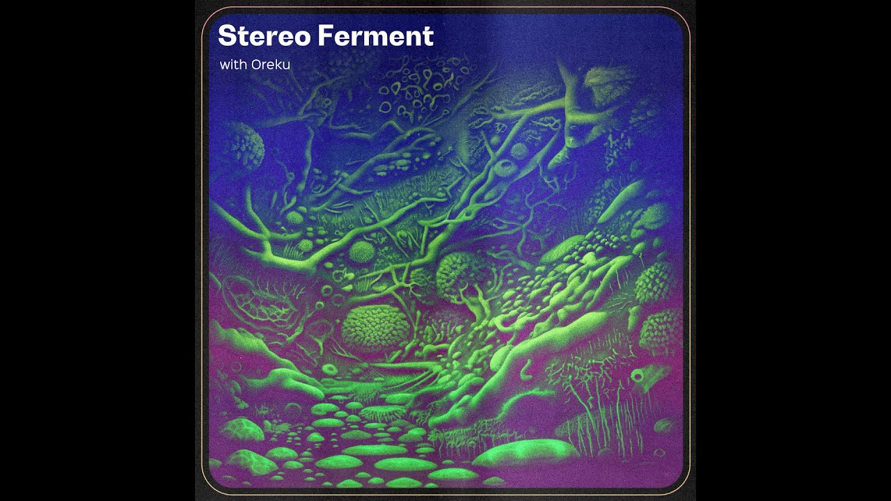 STEREO FERMENT #43: Balearic, Boogie, Acid, Psych - YouTube