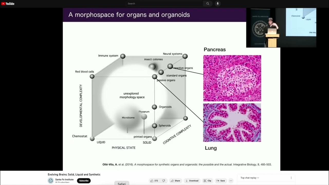 Clip: Ricard Sole Describes the Syn Bio Morphospace He, Neri Oxman, and Michael Levin Are ...