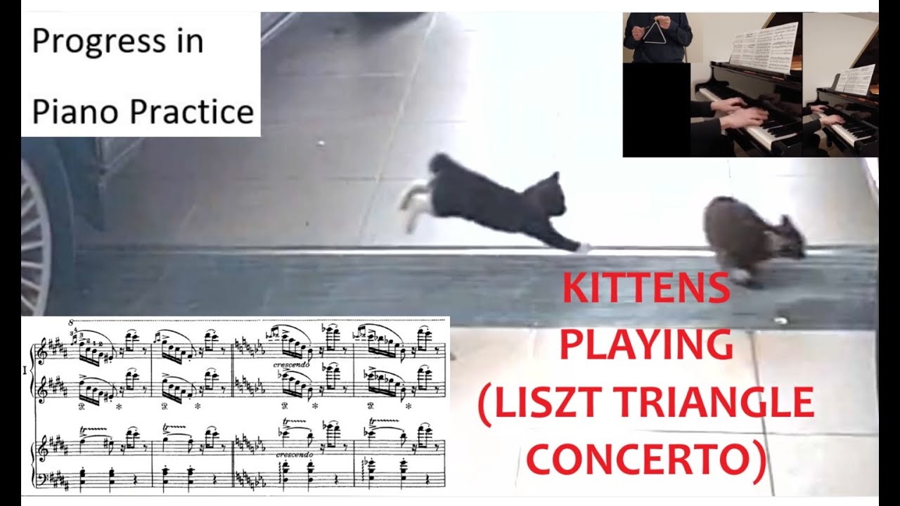 KITTENS PLAYING [Liszt Triangle and Piano Concerto S.124 Movement 2 ...