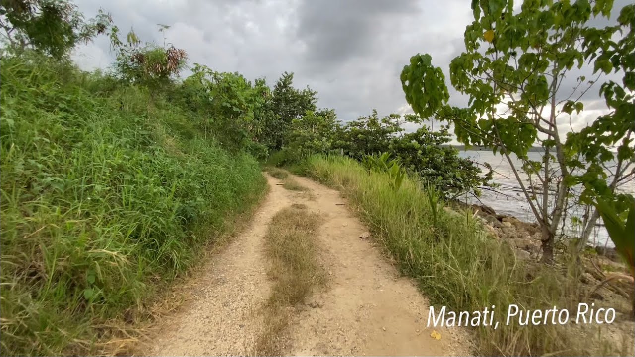 Manatí, Puerto Rico - YouTube
