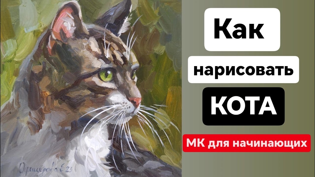 Как нарисовать кота Мастер класс для начинающих художников Youtube