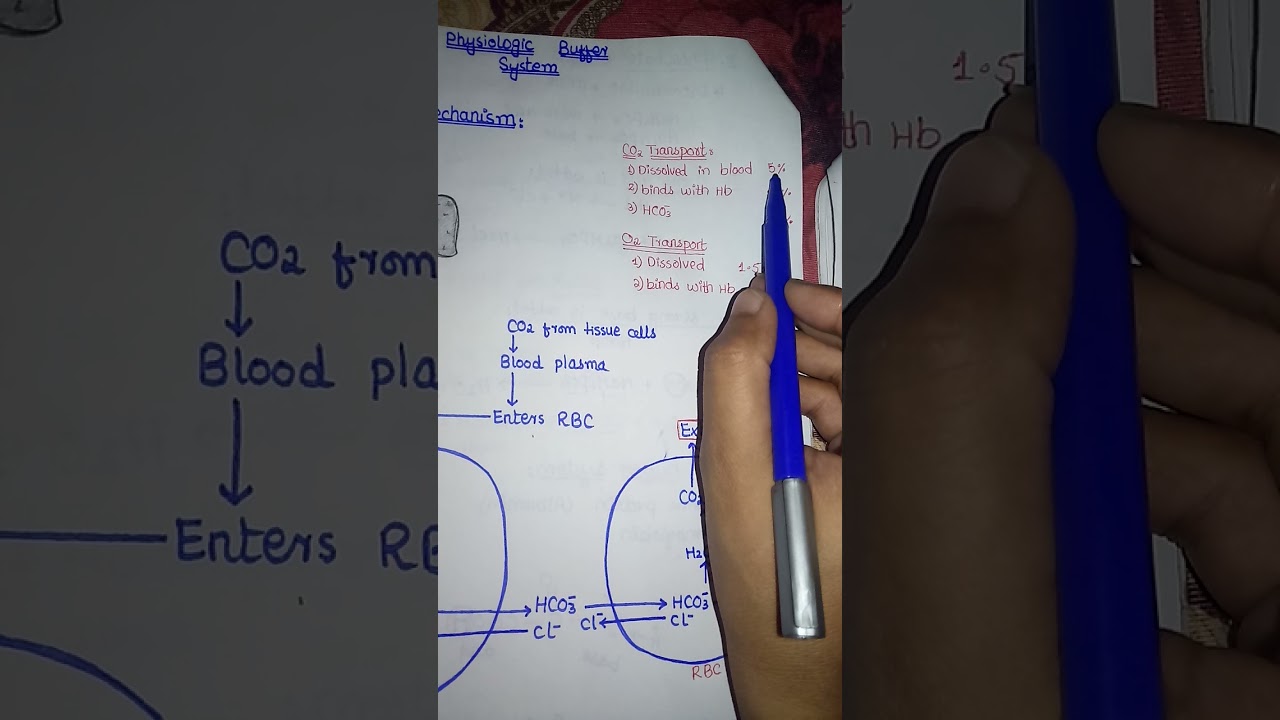 Respiratory mechanism of acid base balance, physiological buffer system ...