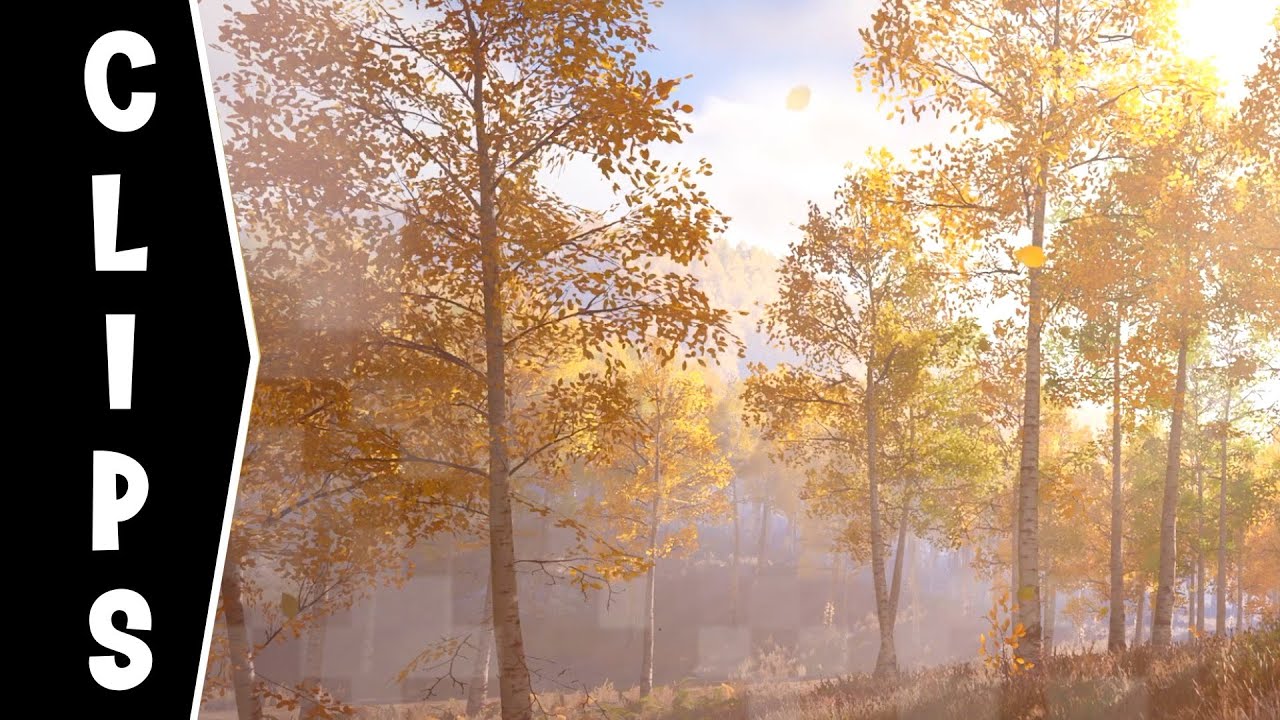 Thinking About Fall | Ambient Nature Clip | Relaxing Music | Atmosphere ...