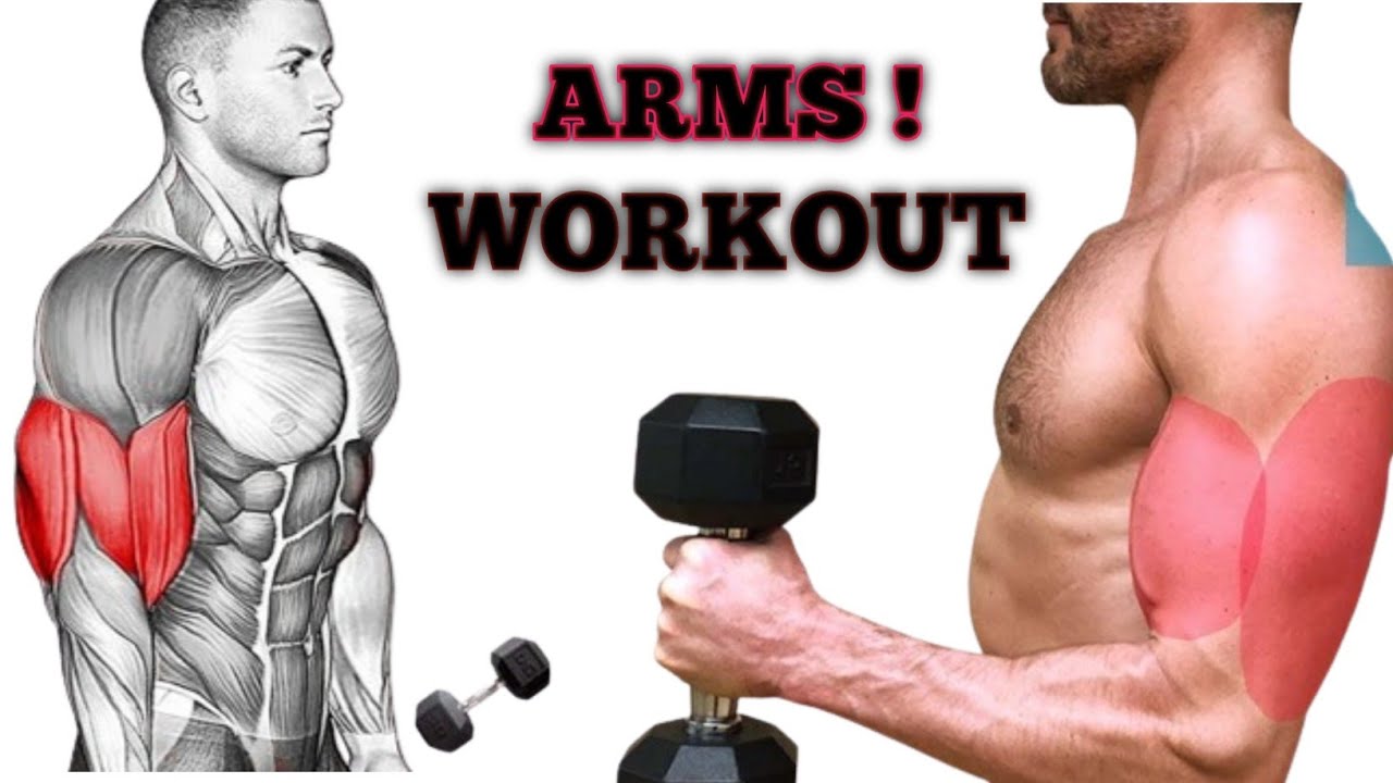 15 minutes arm workout with dumbbell - YouTube