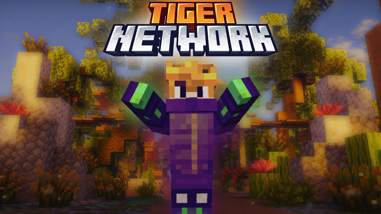 לייב העדכון של שרת המיינקראפט TigerNetwork (משחק חדש!) - YouTube