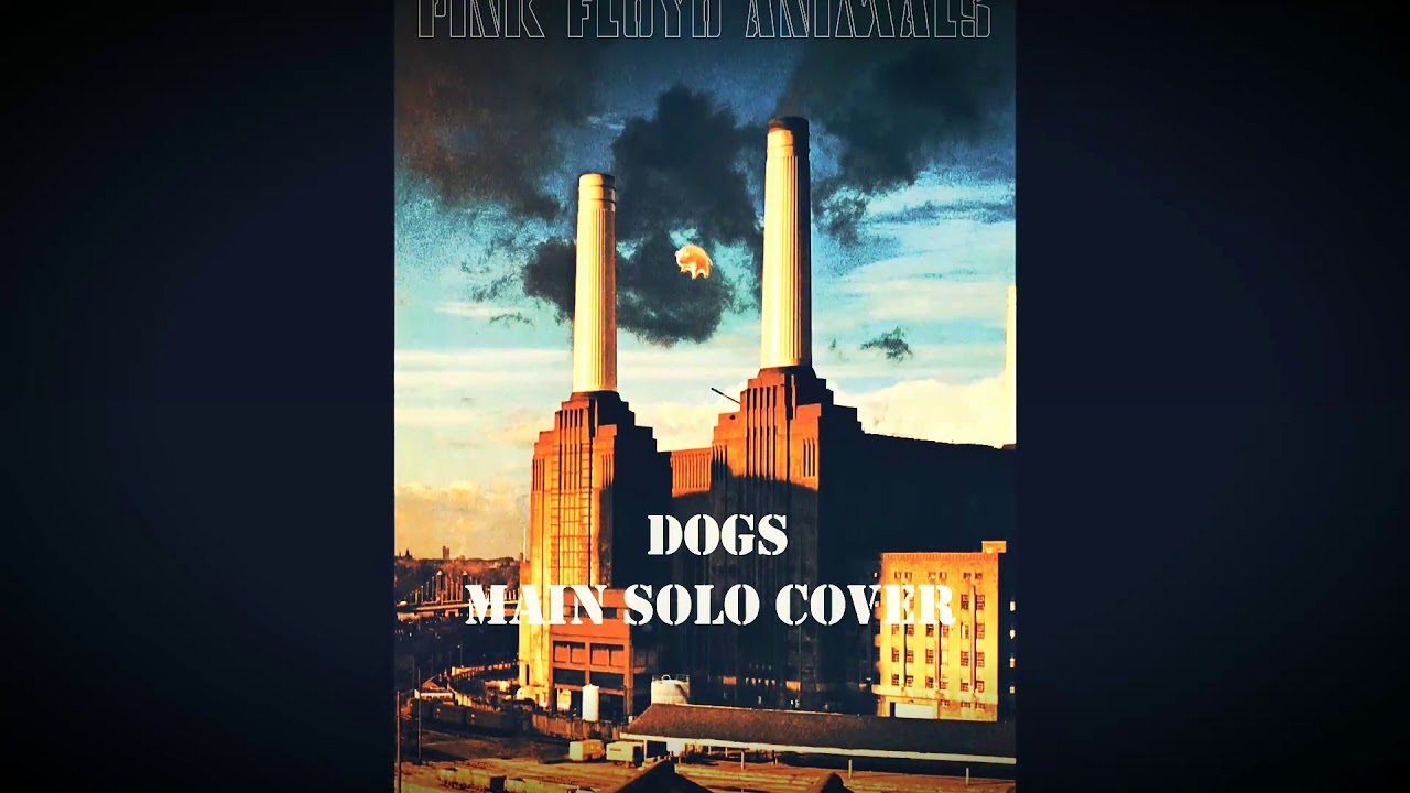 Pink Floyd "Dogs" Main Solo Cover - YouTube