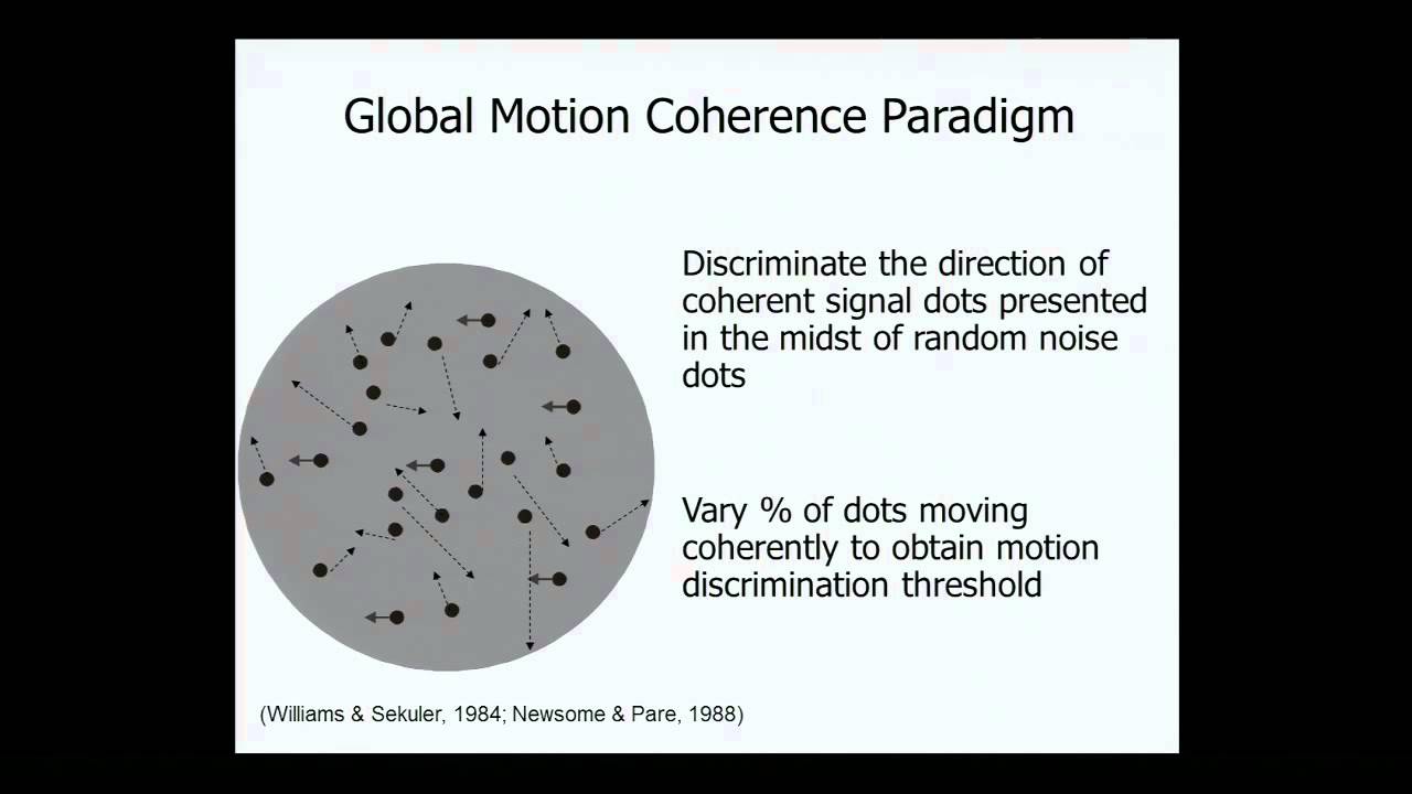 David Salmon Visuospatial Dysfunction In Aging And Dementia YouTube David Salmon Visuospatial Dysfunction In Aging And Dementia YouTube