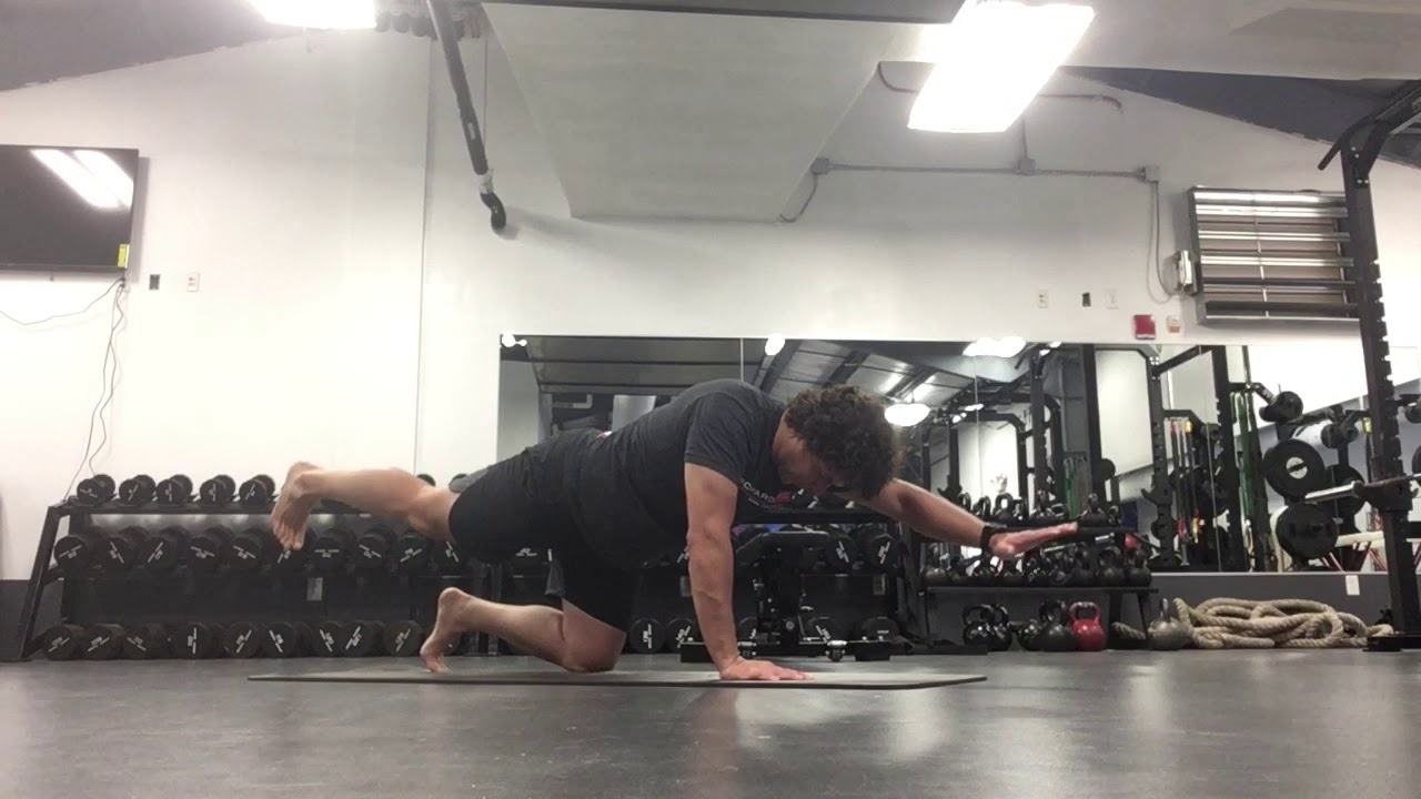 Quadruped Tuck and Extend _ Contralateral - YouTube