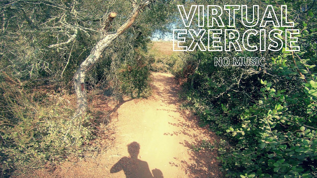 Virtual Trail Run/Jog 2 | Treadmill Exercise | 1 Hr | 4K - YouTube