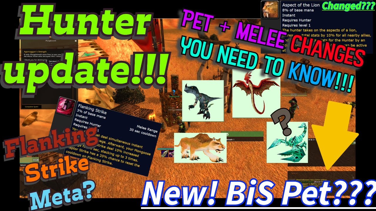 HUNTER PET + TALENT Changes - NEW Meta - Season of Discovery - WoW ...