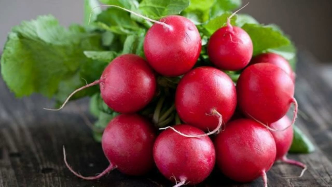 RIDICHIILE Rosii de LUNA ce boli tin la distanta. Contraindicatii - YouTube