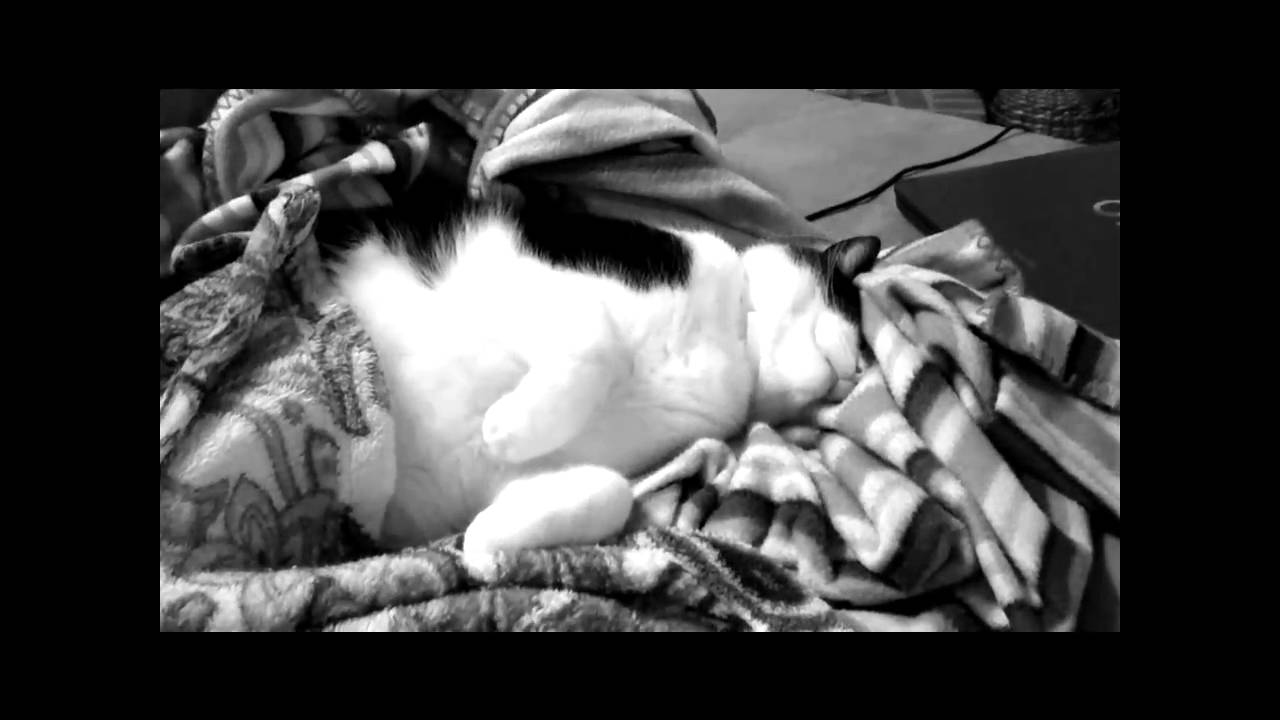 Stephen Otis - Sometimes - YouTube