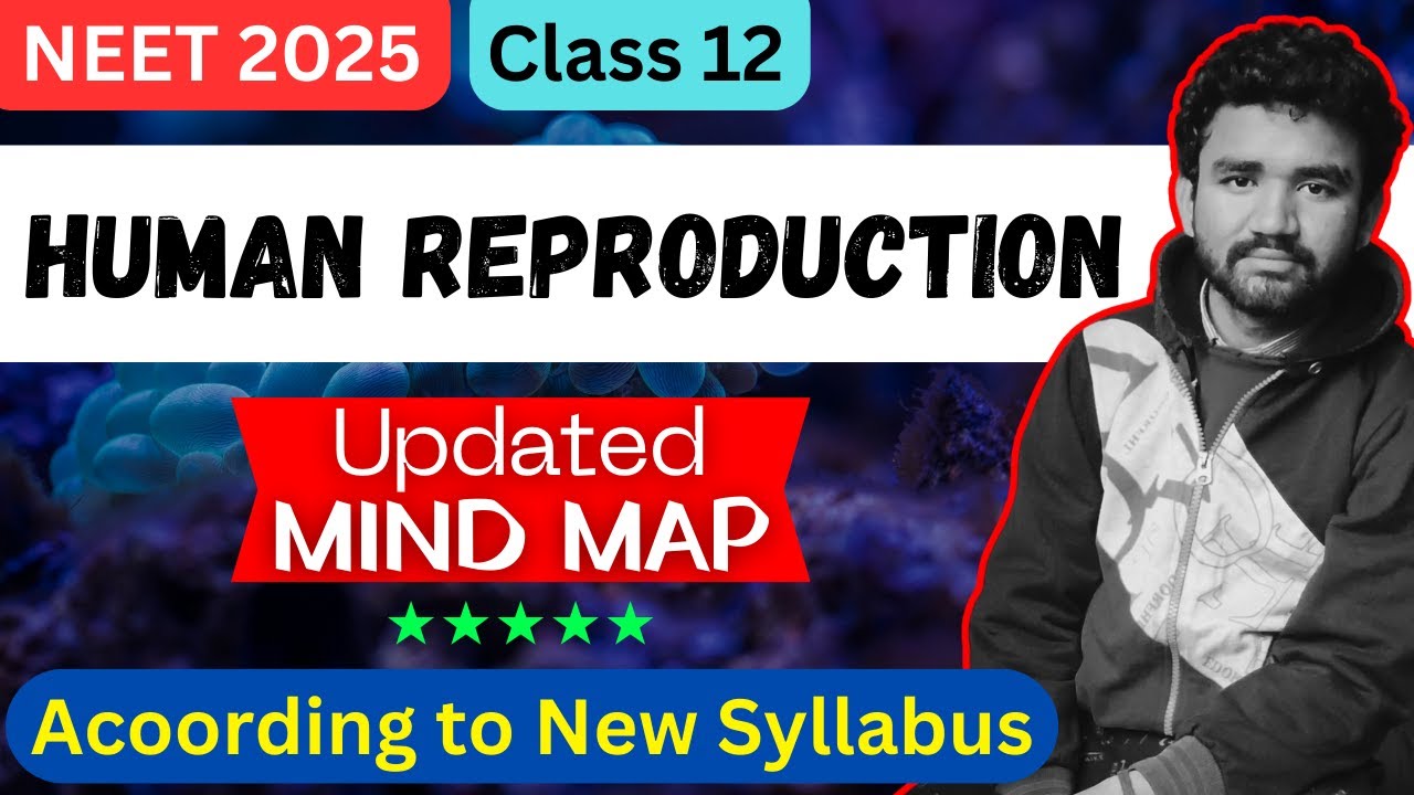 Updated Mind Map - Human Reproduction NEET Class 12 #neet - YouTube