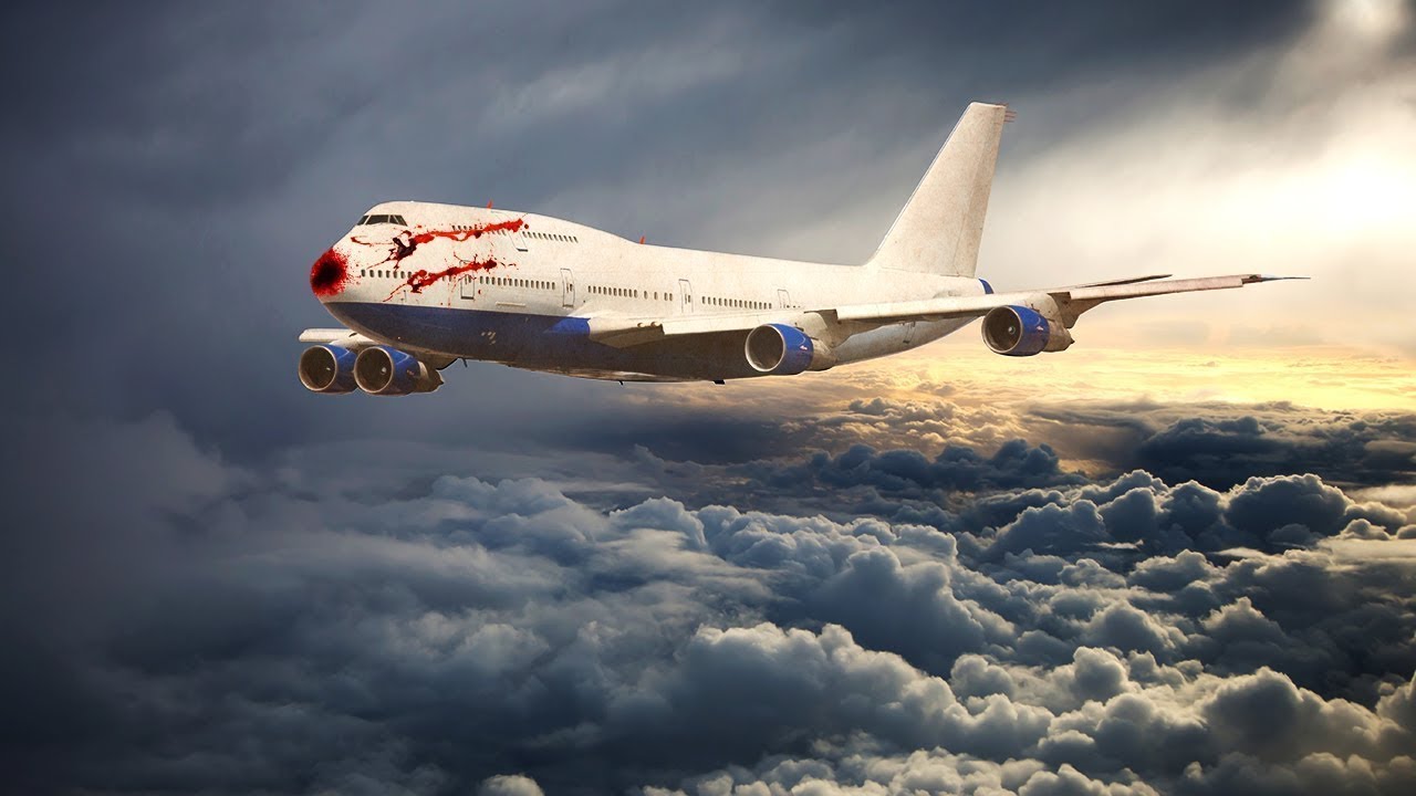 The Plane That Landed with 92 Skeletons on Board! - YouTube