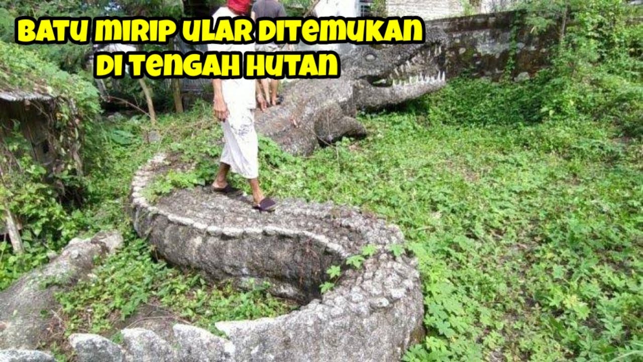 batu mirip ular ditemukan di pegunungan hutan jawa timur - YouTube