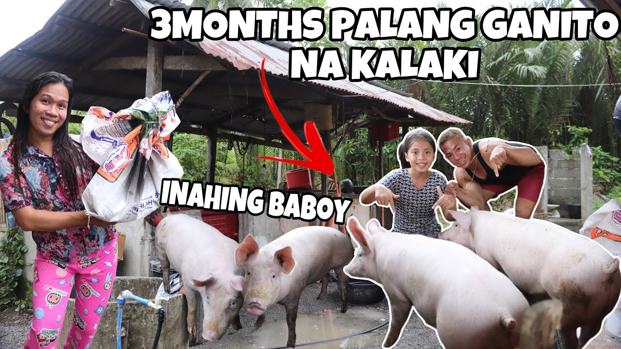 UPDATE SA AMING INAHING BABOY AT SA TATLONG BIIK - YouTube