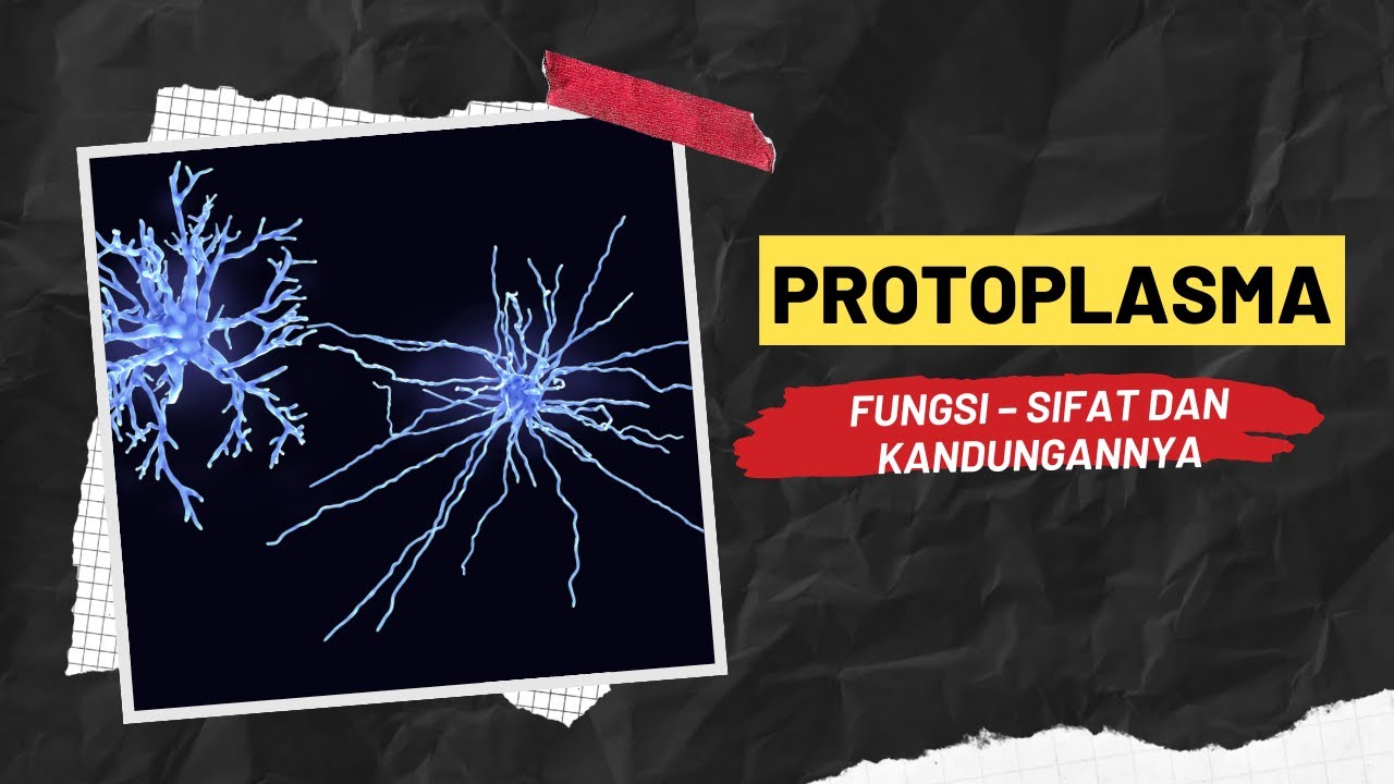Apa itu Protoplasma? Ketahui Fungsinya Ini - YouTube