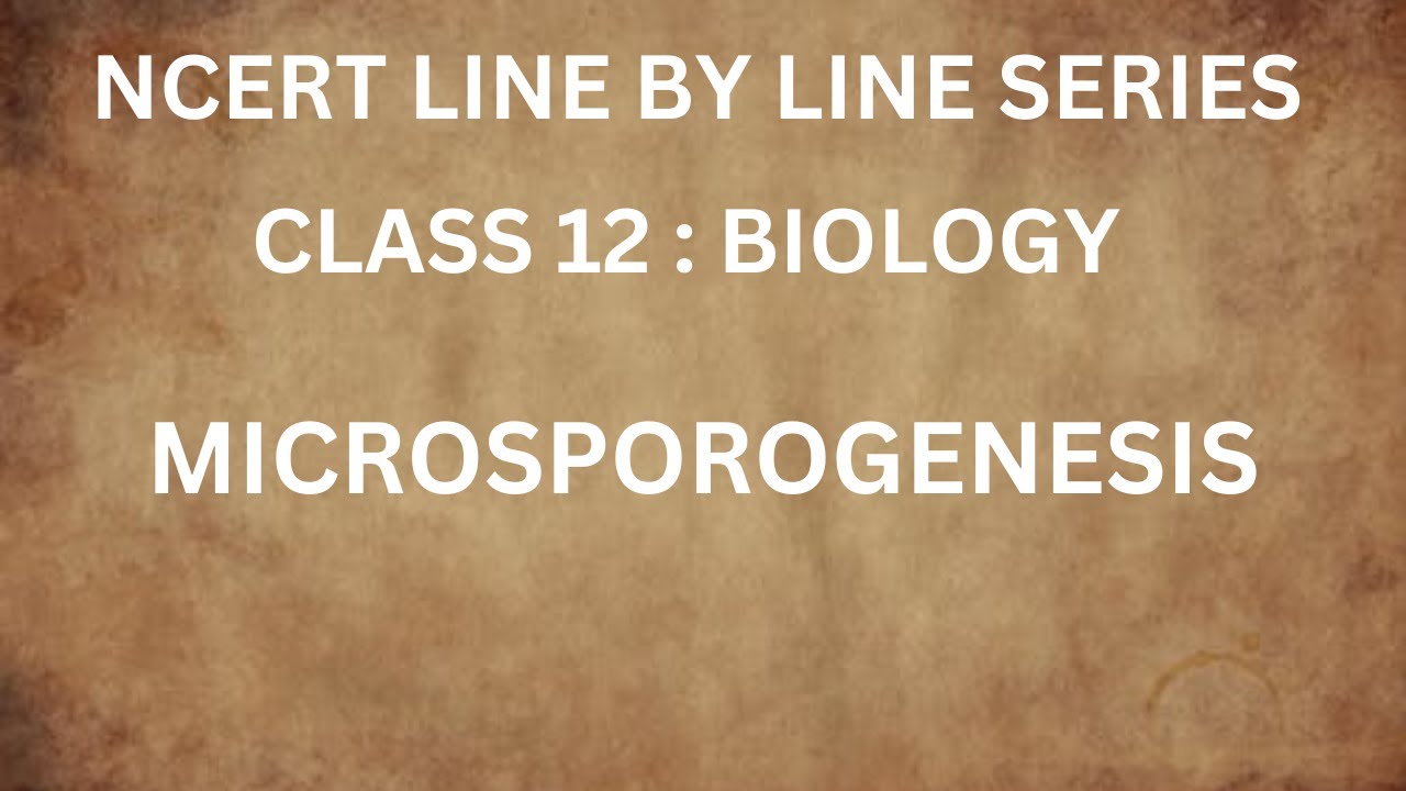 Microsporogenesis | NCERT Line by Line Series | NEET | Class 12 | Tamil ...