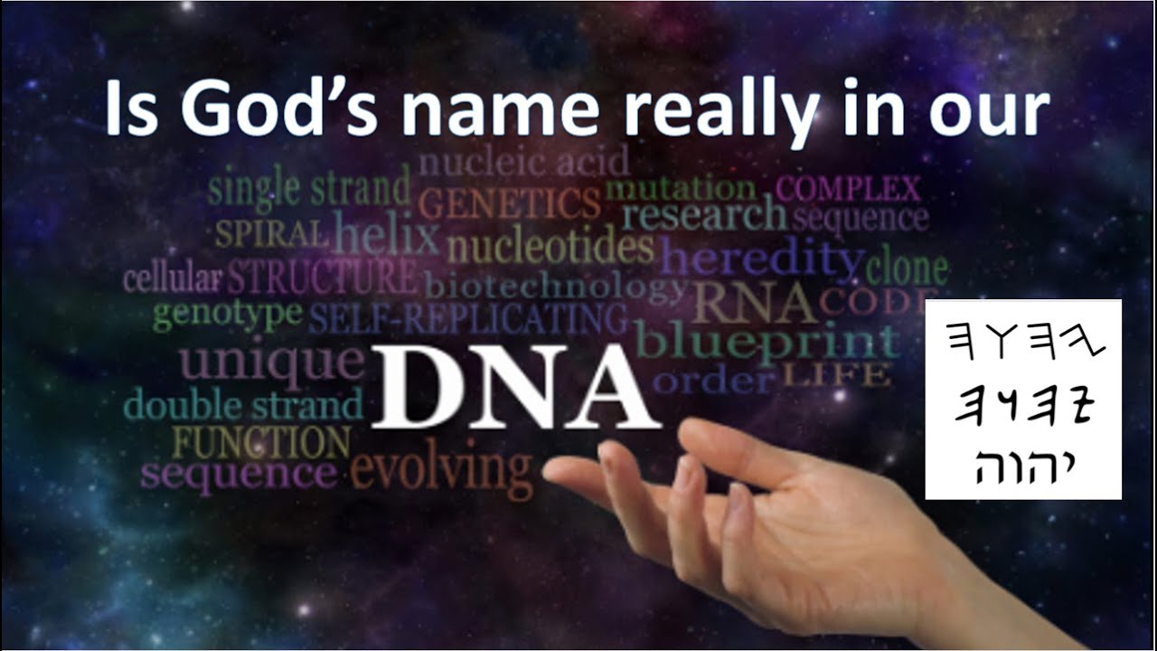 Is Gods Name YHWH really in Our DNA? - YouTube