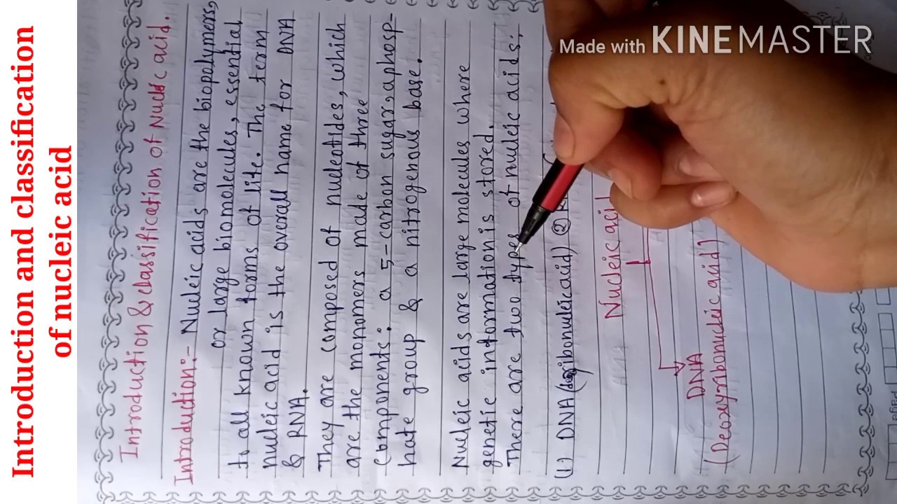 Introduction and classification of nucleic acid very simple explanation ...