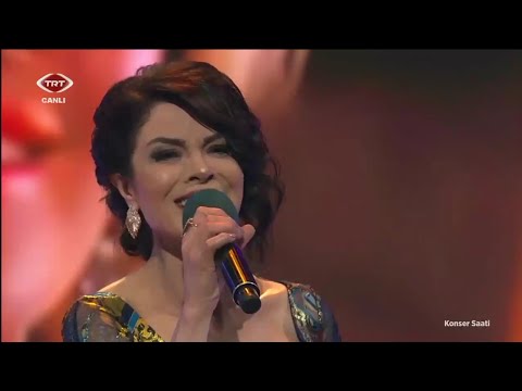 DENİZ MACAROĞLU / SENİ ANDIM BU GECE