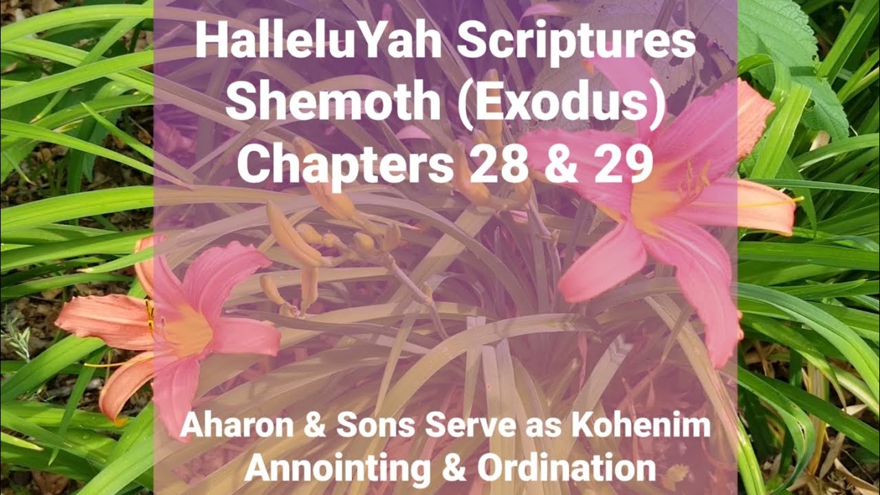 Shemoth (Exodus) Ch28&29-Aharon&Sons Serve as Kohenim; Annointing ...