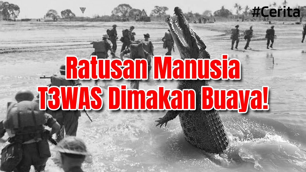 Tragedi Pulau Ramree, Buaya Melahap Ratusan Manusia - YouTube