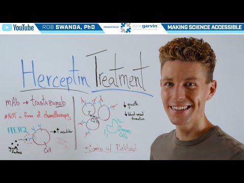How Does Herceptin Cancer Treatment Work?