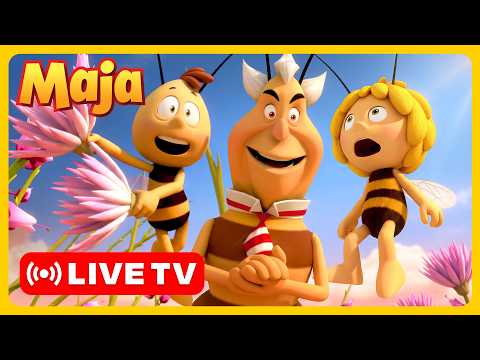 🔴 LIVE! Pszczółka Maja – Magiczne i Fantastyczne Ferie Zimowe ❄️ (TV)