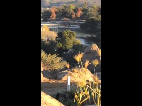 White Rhino's New Periscope's Just Out (January 3, 2016, 12:05 am)