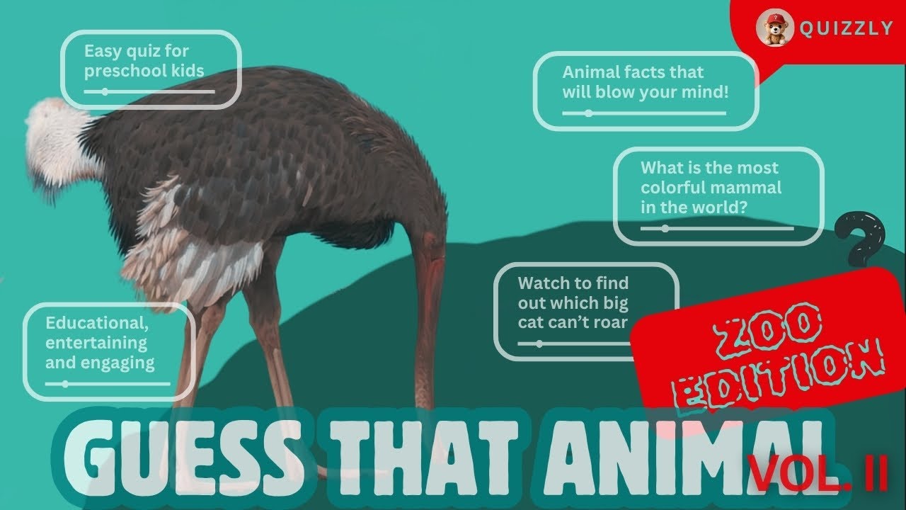 GUESS THAT ANIMAL! | Zoo Second Edition | Educational Fun for ...