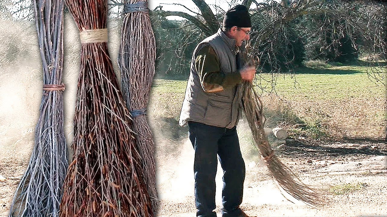 ESCOBAS con RAMAS Y PLANTAS. Corte, atado y moldeado (de un año) para ...