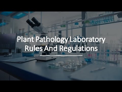 Plant pathology laboratory rules and regulations - YouTube