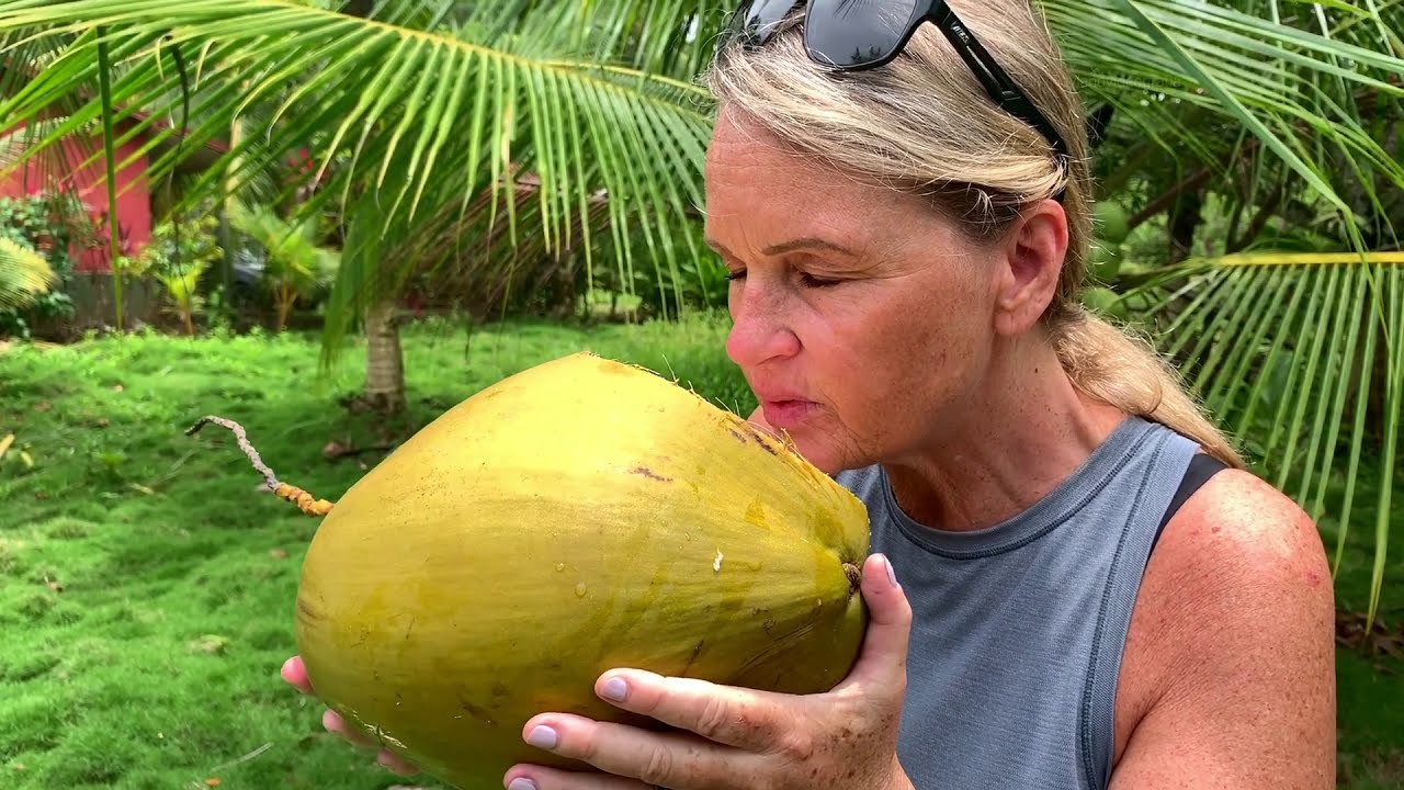 "Crazy for Coconuts 🥥 | Our Tropical Tour in Uvita, Costa Rica 🇨🇷 - YouTube
